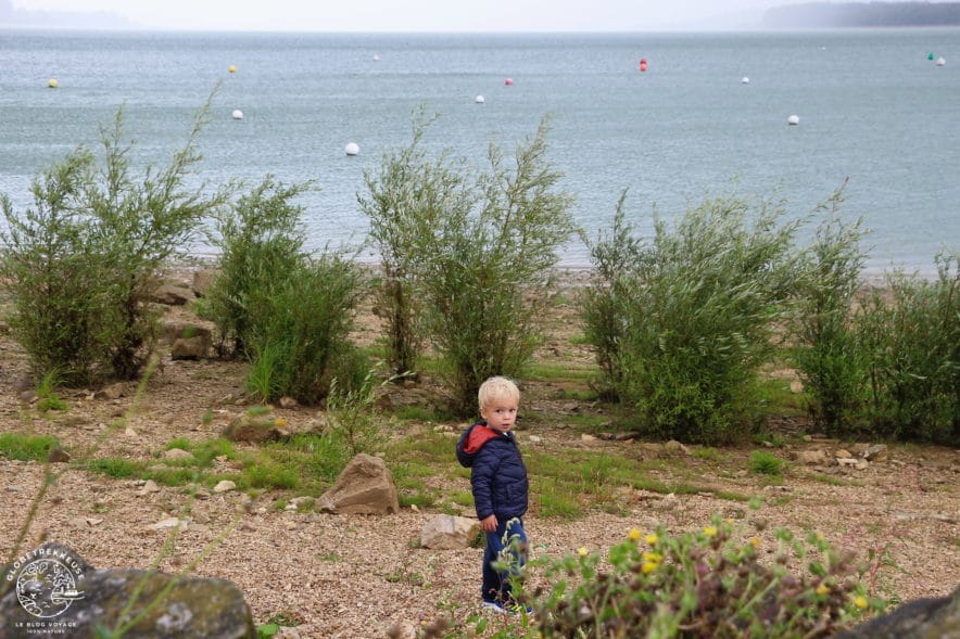 Lac du Der : 6 raisons de découvrir le plus grand lac artificiel de France - Globe trekkeuse
