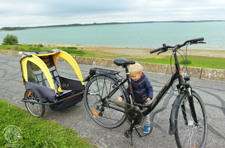 Lac du Der : 6 raisons de découvrir le plus grand lac artificiel de France - Globe trekkeuse