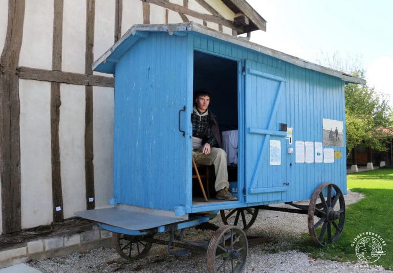Lac du Der : 6 raisons de découvrir le plus grand lac artificiel de France - Globe trekkeuse