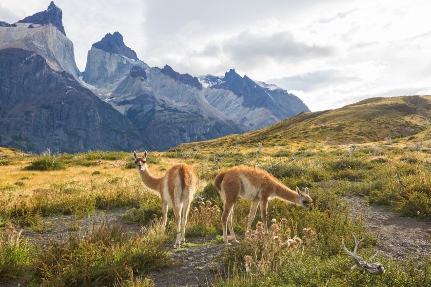 Voyage en Patagonie, 7 sites naturels à ne pas manquer ! - Globe trekkeuse